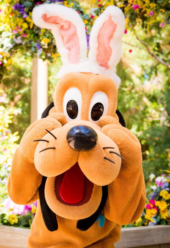 Spring Break Crowd Predictions for Disney World - Disney Tourist Blog