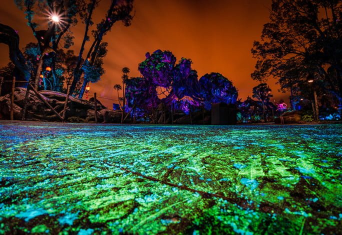 Extended Evening Hours Coming to Animal Kingdom: Dates, Tips & Tricks ...