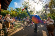 Kevin's Coming Back to Animal Kingdom! - Disney Tourist Blog