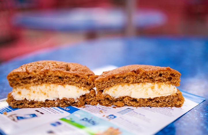 Very best Disney’s Hollywood Studios Snacks – Runway Nomad