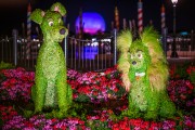 Visiting Disney World During Coronavirus Outbreak - Disney Tourist Blog