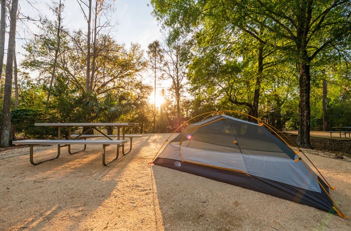 Tent Camping at Fort Wilderness Info & Our Experience - Disney Tourist Blog