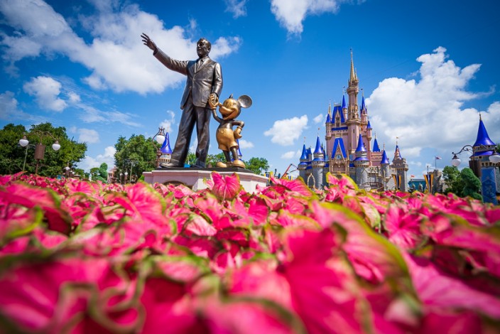 Disney World Quarantine Rules & Travel Guidance - Disney Tourist Blog