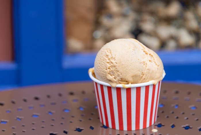 L'Artisan des Glaces Ice Cream Review - Disney Tourist Blog