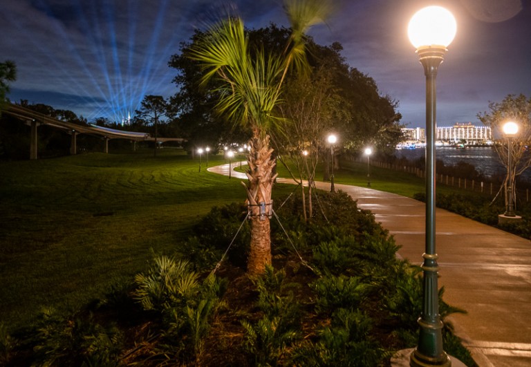 Photos & Video: Magic Kingdom to Grand Floridian Walkway - Disney ...