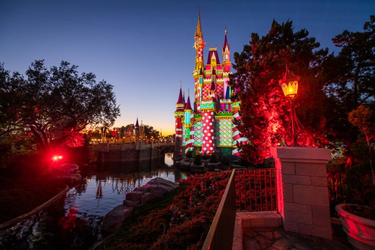 Surviving Winter Weather at Disney World - Disney Tourist Blog