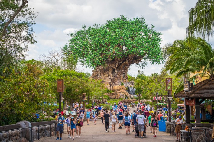 Los Mejores y Peores Días para Visitar cada Parque en Disney World-Blog ...