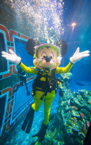Disney Springs' 11: Florida Scuba Man Escapes After $20,000 Heist ...