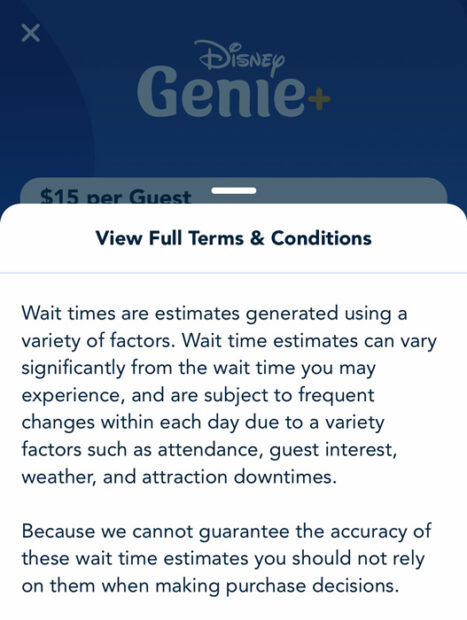 Actual vs. Posted Wait Times at Disney World - Disney Tourist Blog