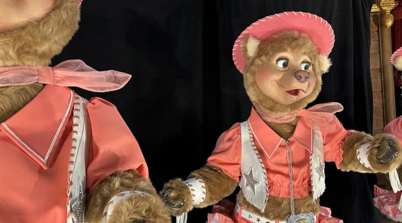 Country Bear Jamboree Reimagining News - Disney Tourist Blog