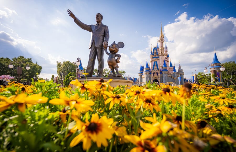 Both Water Parks at Disney World Open for Summer 2025! - Disney Tourist ...