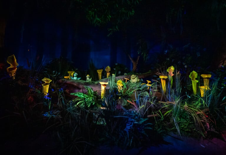 Tiana's Bayou Adventure Ride Review: Failure, Flawed or Fantastic ...