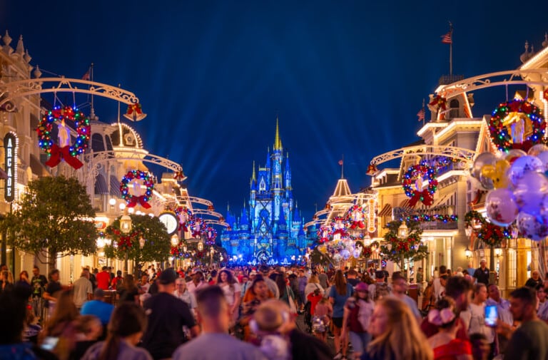 Disney World's Winter Wait Times Roller Coaster Doesn't Tell the Full ...