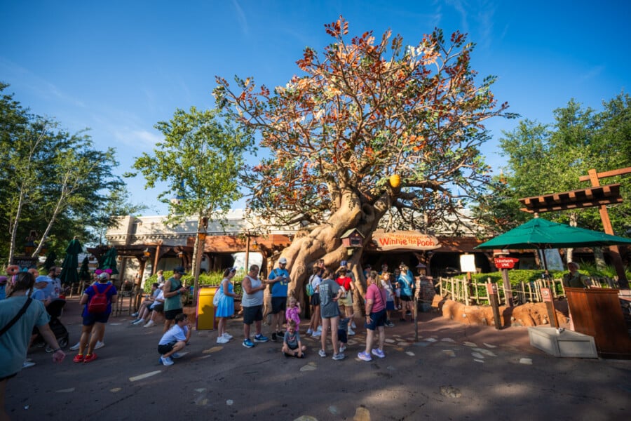 Magic Kingdom's New Early Entry Process & Pitfalls of Dreaded Delayed ...