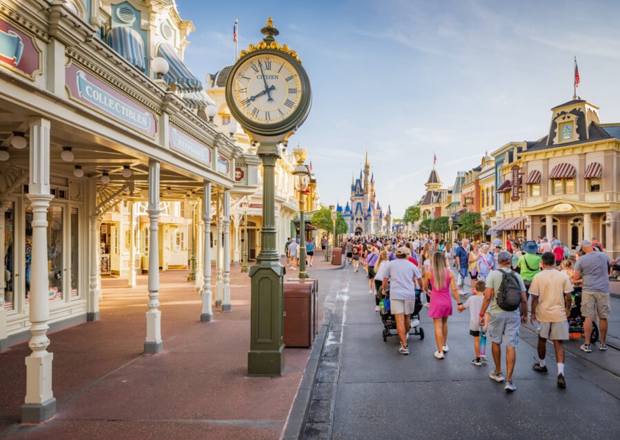 Magic Kingdom’s New Early Access Procedure & Pitfalls of Dreaded Not on ...
