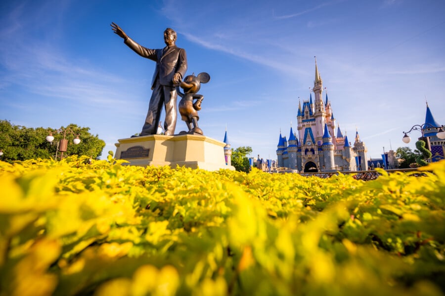 Magic Kingdom's New Early Entry Process & Pitfalls of Dreaded Delayed ...