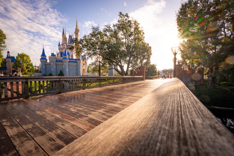 Disney Dreams That Soar Drone Show: Dates, Times, Viewing Info & First ...