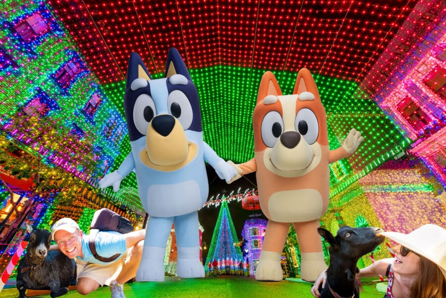 New Details & Timeline for Bluey Play Experience at Disney’s Animal ...