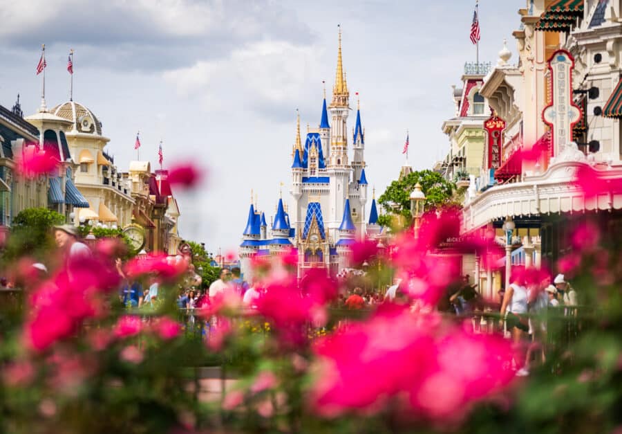 Disney Treasure Cruise Ship Review: Worst to First?! - Disney Tourist Blog